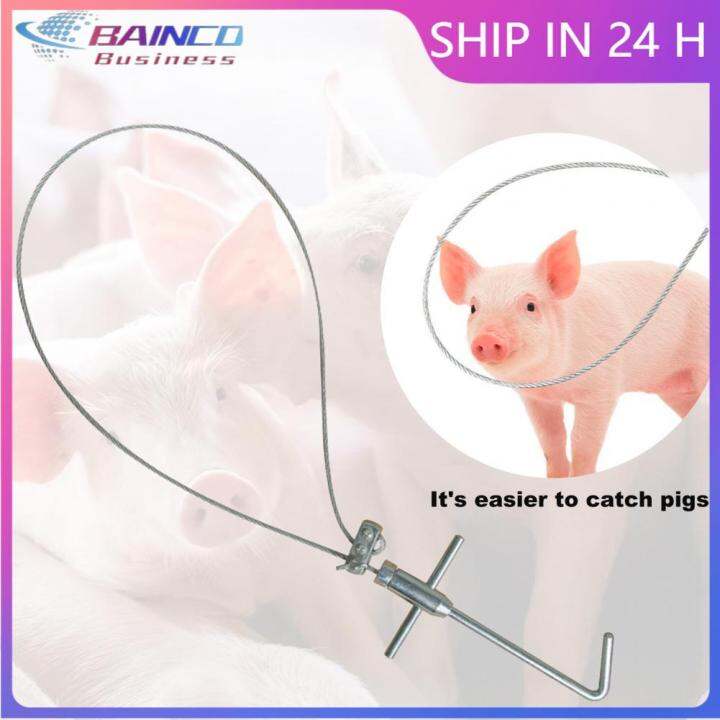 Catcher Dog Pig Holder Stainless Steel Livestock Snare Pig Trap for ...