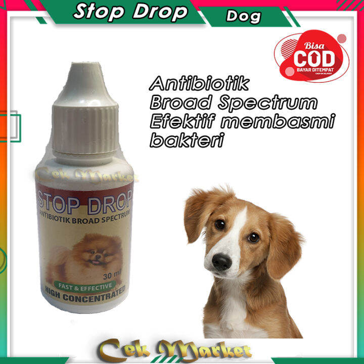 Stop Drop Dog - Obat Antibiotik Anjing Demam Bakteri Gangguan ...