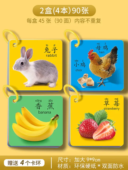 English-Chinese Bilingual Flash Card for Baby Kids Early Learning Book ...