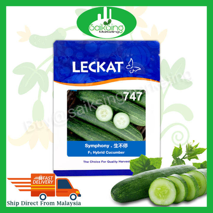 20G LECKAT 747 SYMPHONY F1 Hybrid Cucumber Seeds / Benih Timun | Lazada