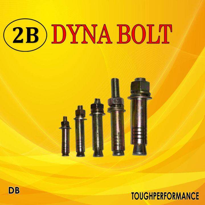 2B DYNA BOLT (FASTENER & HOOKS) | Lazada PH
