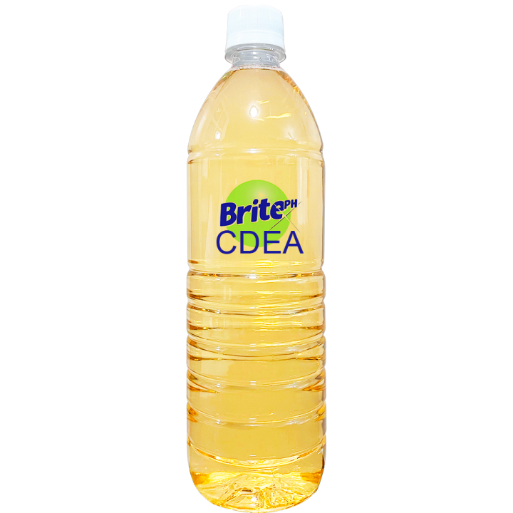 CDEA - Foam-booster 1Liter & 120ML for DIshwashing DIY Kit - by BritePH ...