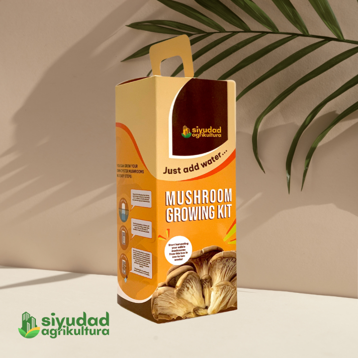 Siyudad Agrikultura Mushroom Grow Kits | Lazada PH
