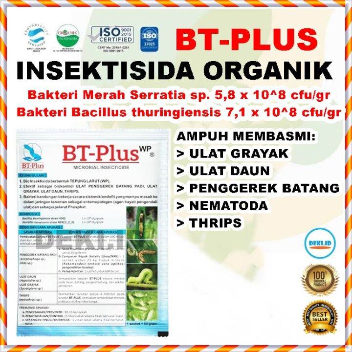 Bio Insektisida Organik BT Plus 50 Gr Bacillus T Bakteri Merah Serratia ...