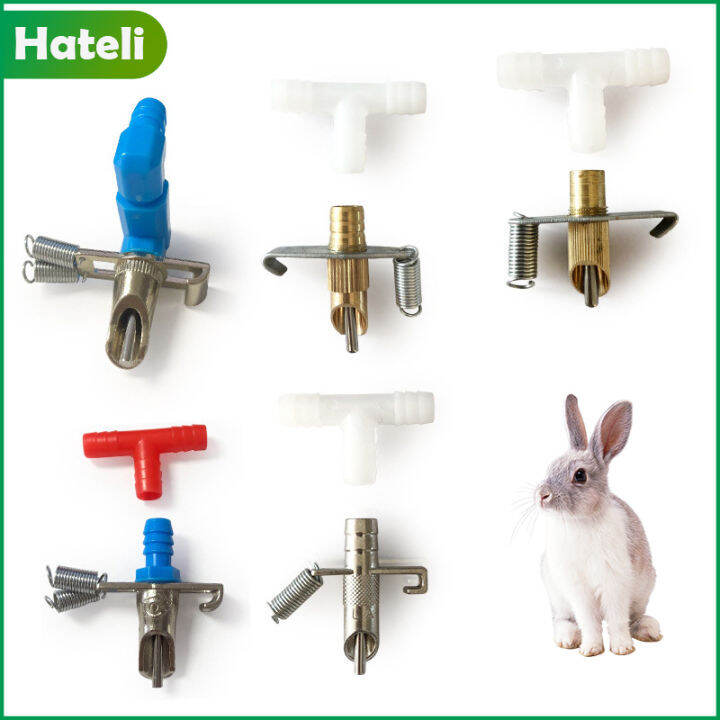 HATELI Automatic Rabbit Drinker Feeder Mouse Rabbit Waterer Bunny ...