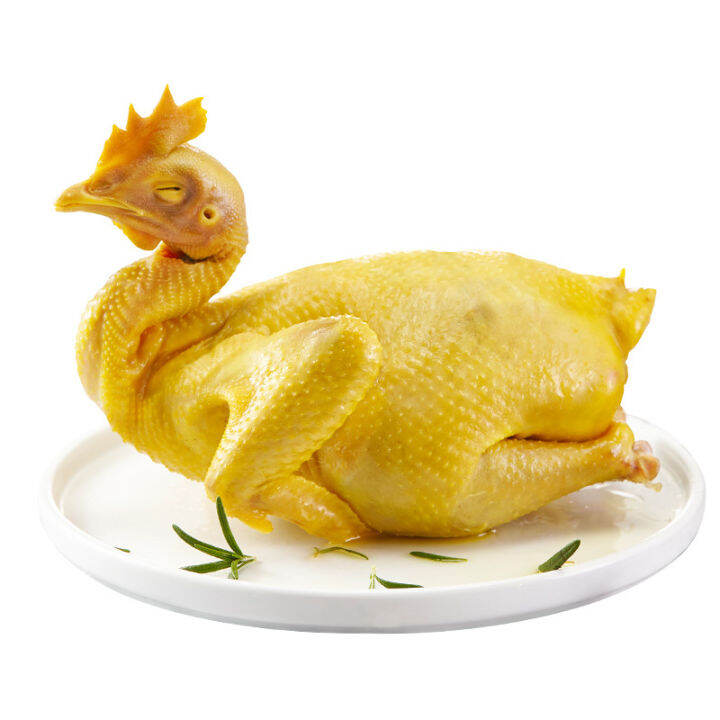 QingYuan Yellow Chicken ~1.5kg | Lazada PH