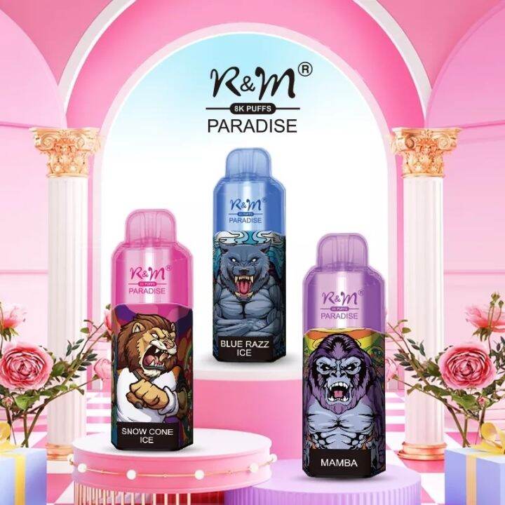𝙎𝘼𝙇𝙀! [𝐋𝐄𝐆𝐈𝐓] R M PARADISE 8000 Puffs Rechargeable Disposable Vape Pod | Lazada PH