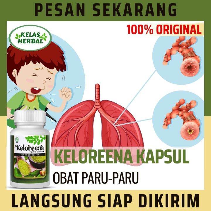 Obat Radang Paru Paru - Obat Alami Radang Paru Paru, Obat Infeksi Paru ...