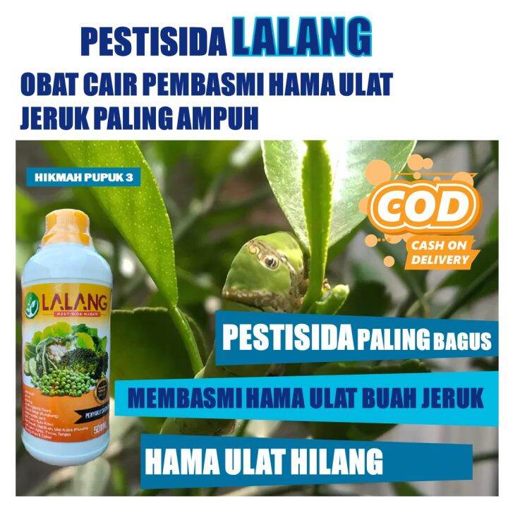 PUPUK PEMBASMI HAMA ULAT JERUK NIPIS Paling Ampuh Pestisida untuk Basmi ...