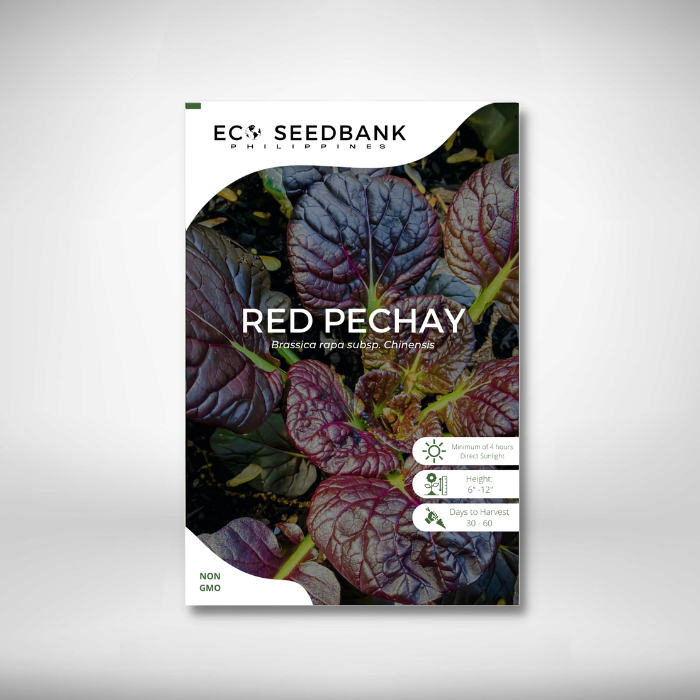 Red Pechay | Vegetable Seeds | Eco Seedbank Philippines | Lazada PH