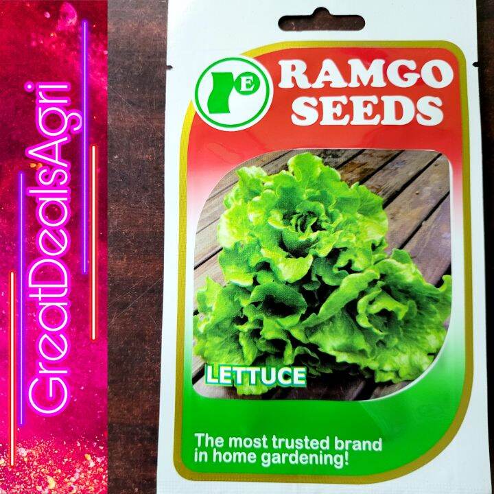 LEAFY COS ETON OPV LETTUCE SEEDS (3 GRAMS) RAMGO SEEDS | Lazada PH