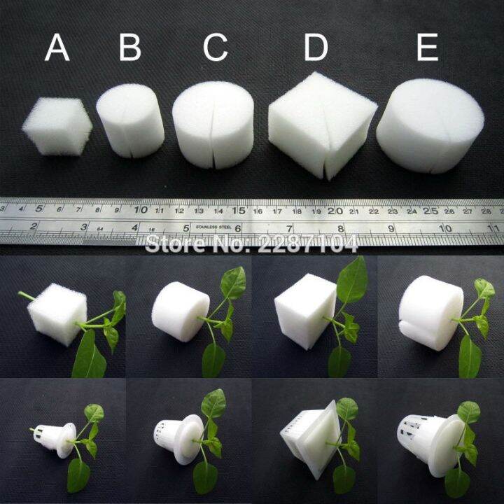 25/100pcs White Clone Cloning Collar Foam Insert Hydroponic Plant ...