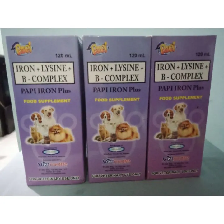 Papi Iron Plus 120ml | Lazada PH