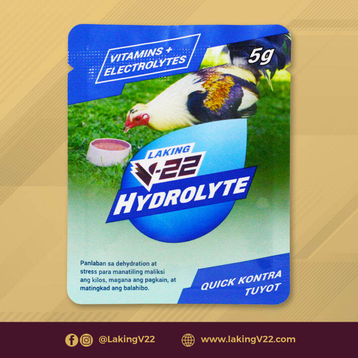 Laking V-22 Hydrolyte 5g | Lazada PH
