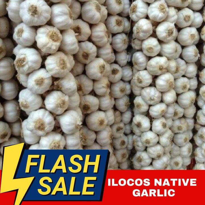 250 grams Native Garlic Mabango Ilocos Garlic Big Size Native garlic of ...
