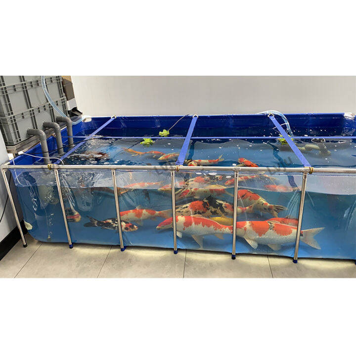 Lvju โปร่งใส Aquarium 200L 1000L Betta KOI Fish AquariumFROG TANK ...