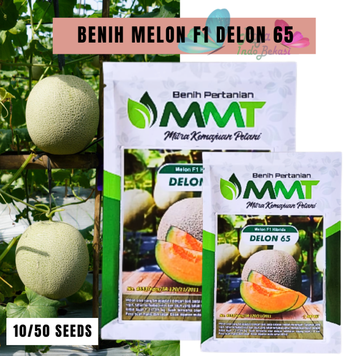 ORI Biji Benih MELON F1 HIBRIDA DELON 65 MMT 400 Seed - Kemasan Repack ...