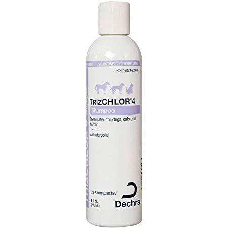 Dechra Trizchlor 4 Shampoo Formulated for Dogs, Cats & Horses, 8 fl.oz ...