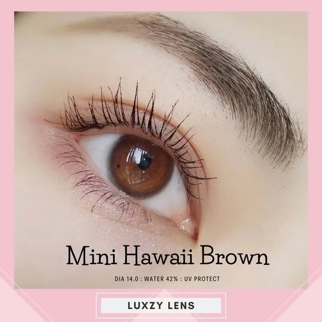 Mini Hawaii Brown /gray ค่าสายตา 0.00-1000 | Lazada.co.th