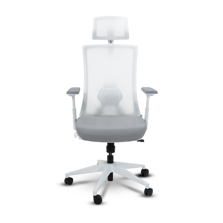 Bewell FROZEN เก้าอี้เพื่อสุขภาพ พนักพิง ICE Mesh เจ้าแรกในไทย คนตัวเล็กนั่งได้ สบายหลัง ...