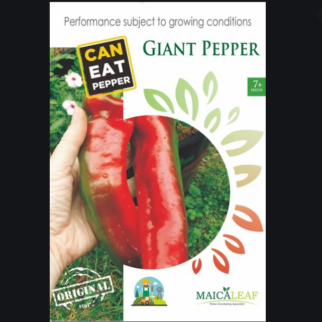 GIANT PEPPER -COD- 1 PACK ISI 7 Biji / Benih / bibit ( CABAI GIANT ...
