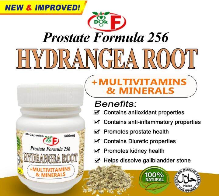 PROSTATE FORMULA 256 HYDRANGEA ROOT CAPSULES (MAIN) | Lazada PH