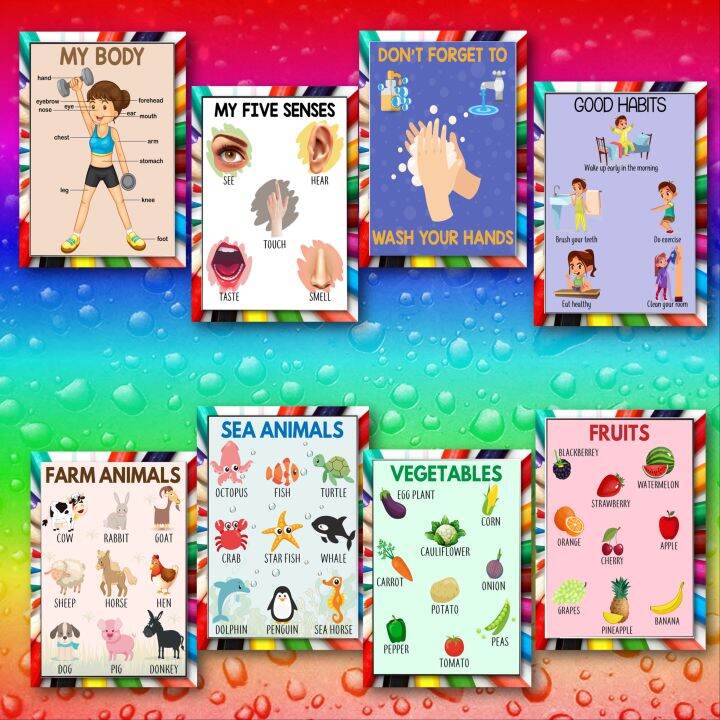 Wall chart educational poster laminated a4 size part 3 | Lazada PH