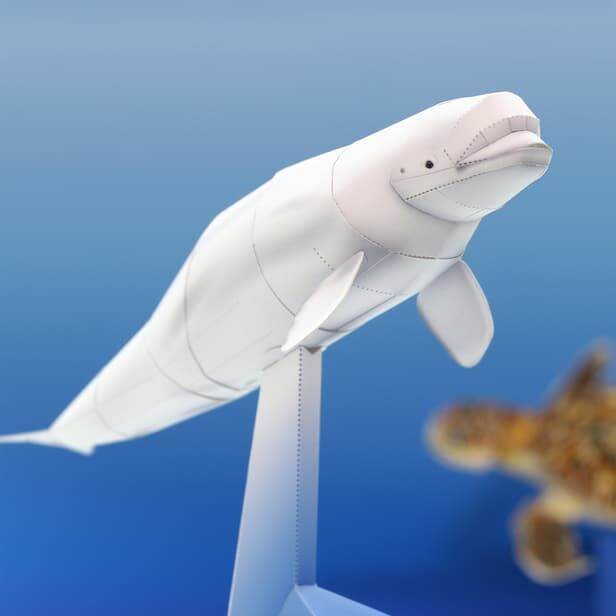 Beluga Whale Papercraft | Lazada Indonesia