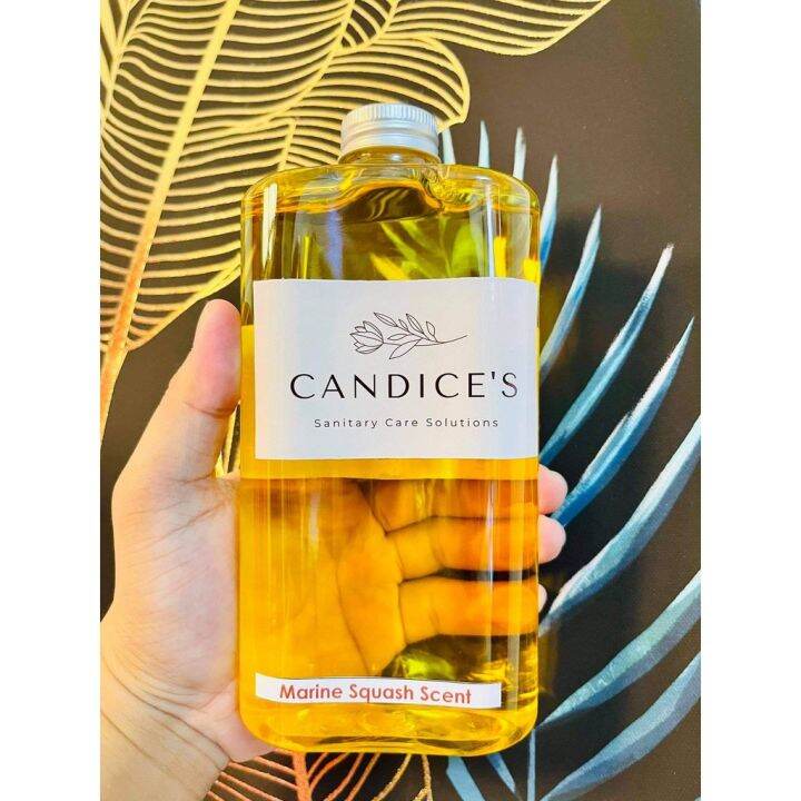 Water-based Anti-Bacterial Humidifier Marine Squash Scent | Lazada PH