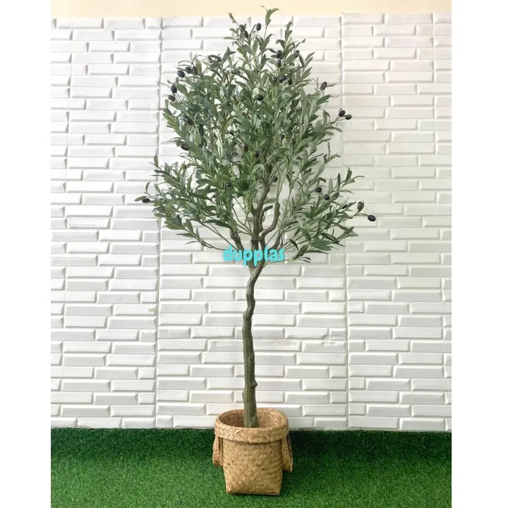 Pohon Daun Zaitun Olive Tree T160 Artificial Cover Anyaman Purun Handle ...