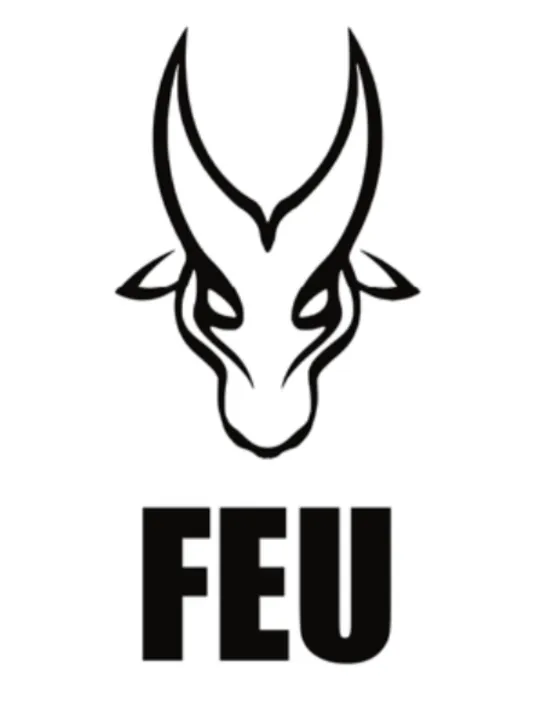 FEU Decal Sticker Set of 3 | Lazada PH