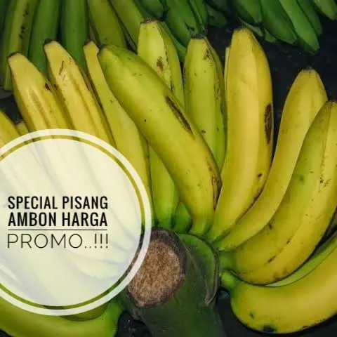 buah pisang ambon kuning 1 sisir | Lazada Indonesia