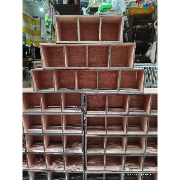b{Dpairing box for african lovebirds apat ang hole.6"6".apat slot ...