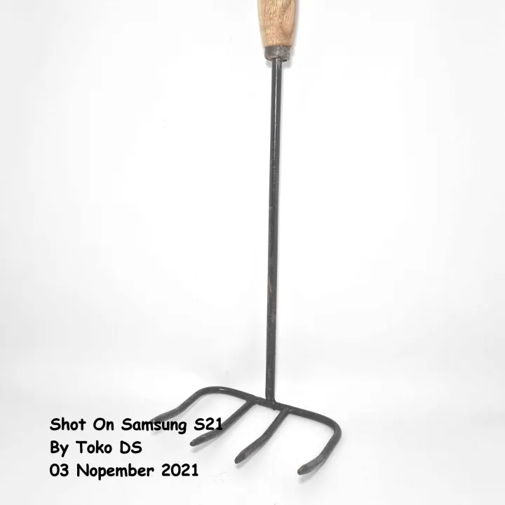 Cangkrang Kecil Gagang Kayu - Garpu Taman Cangkrang Taman Garpu Tanah ...