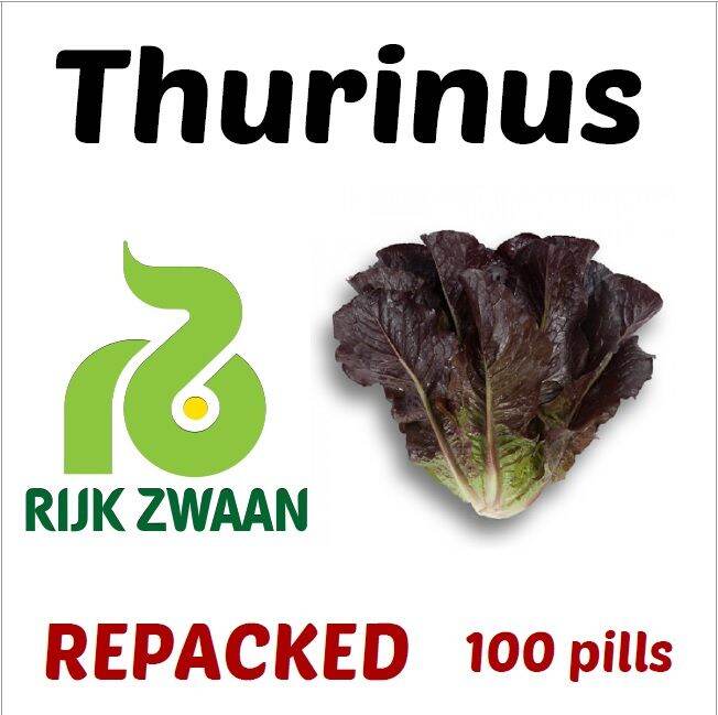 Lettuce Thurinus RZ Pelleted Seeds by Rijk Zwaan | Repacked 100pcs ...