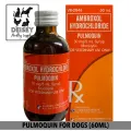 PULMOQUIN AMBROXOL FOR DOG AND CAT (60ML) | Lazada PH