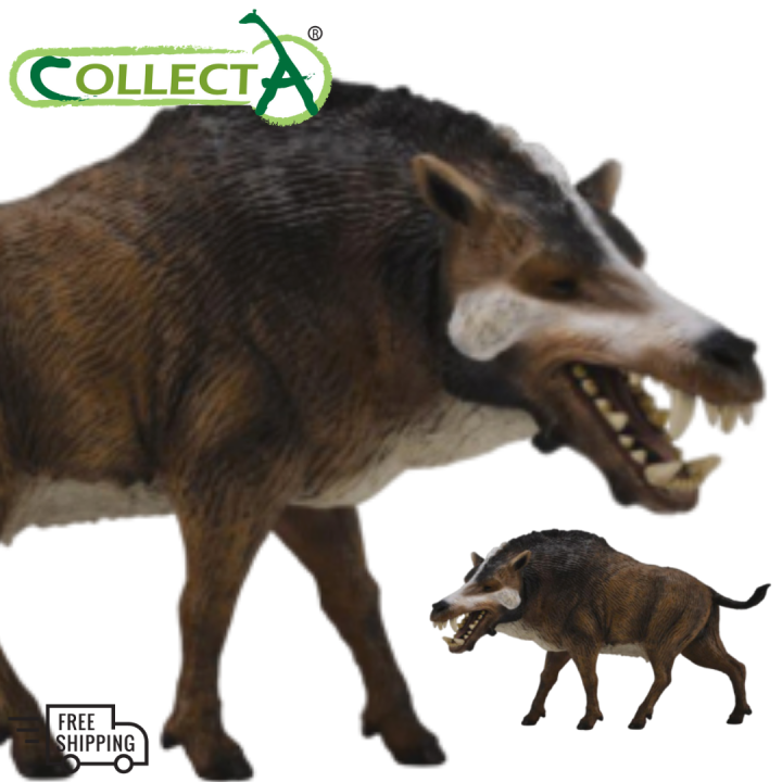 Daeodon Deluxe 1:20 Scale - Collecta 88723 Prehistoric Life Animal ...