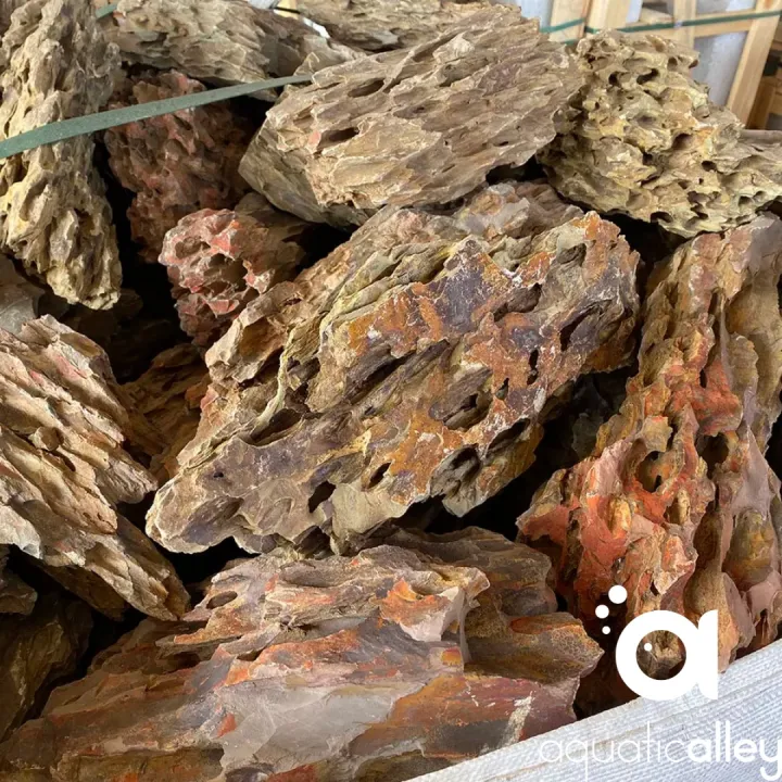 Dragon Stone for Hardscaping / Aquascaping | Lazada PH