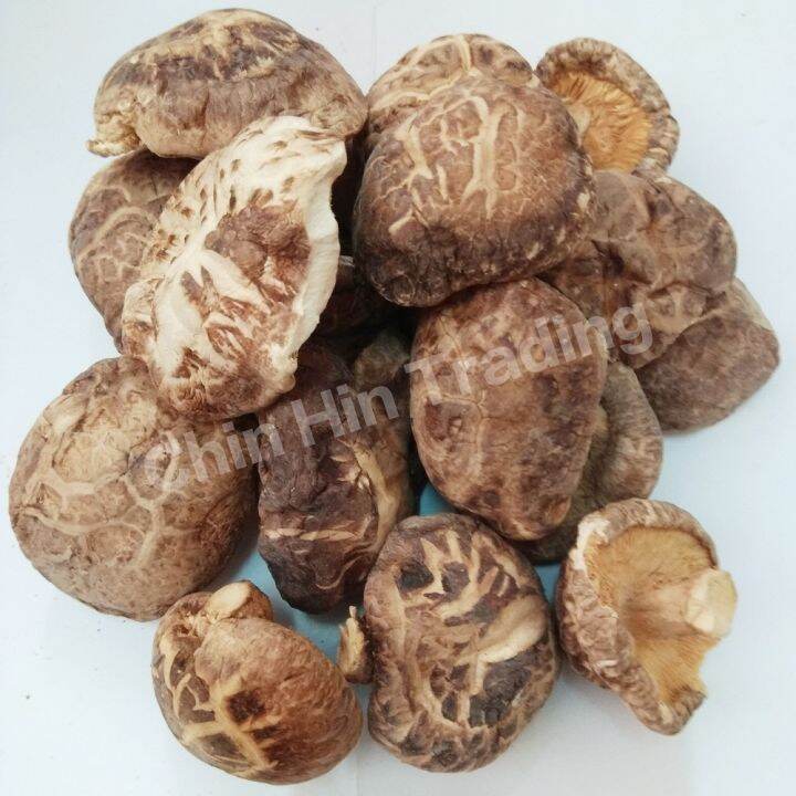 Cendawan Shiitake Kering 香菇 Dreid Shiitake Mushroom (100g) | Lazada