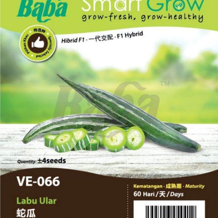 Baba Smart Grow Vegetable Seed: VE-066 Snake Gourd benih sayur labu ...