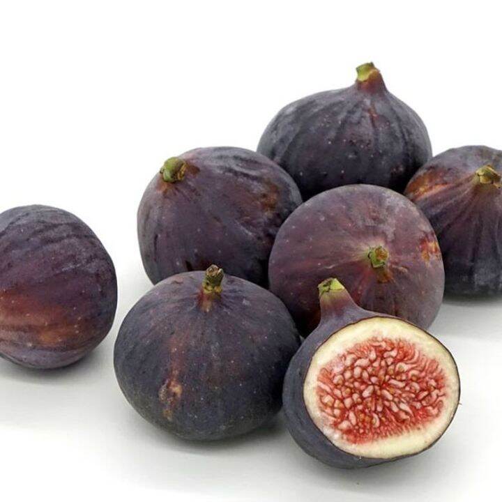 Tanaman Buah Ara Black Genoa: Kelezatan Buah Ara Eksotis dari Tanaman ...