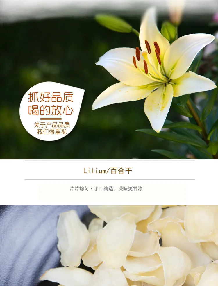 Bai He Flower | Best Flower Site