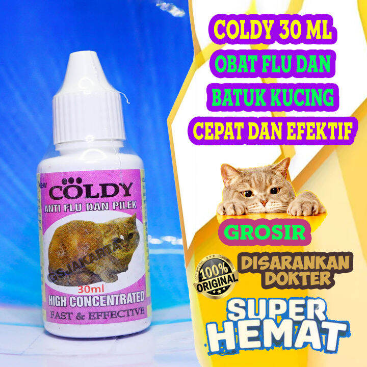 PROMO Obat Flu Kucing Sakit Pilek Ingusan Bersin Coldy Cat TERJAMIN ...