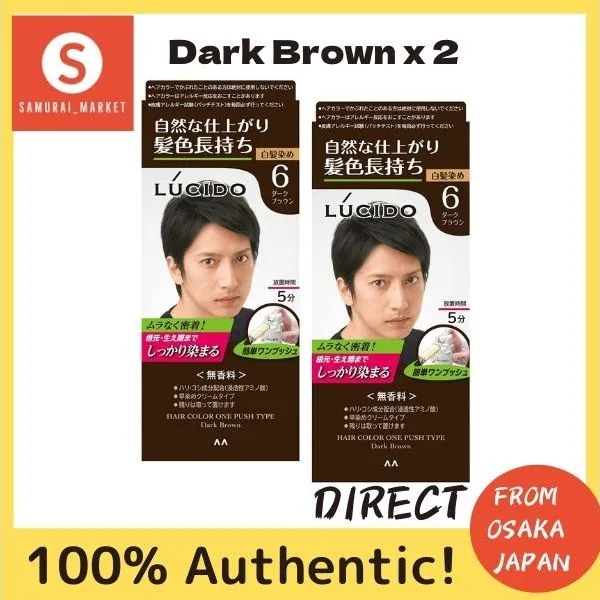 LUCIDO One Push Care Color Men's Short Hair Approximately 4 Times Gray ...