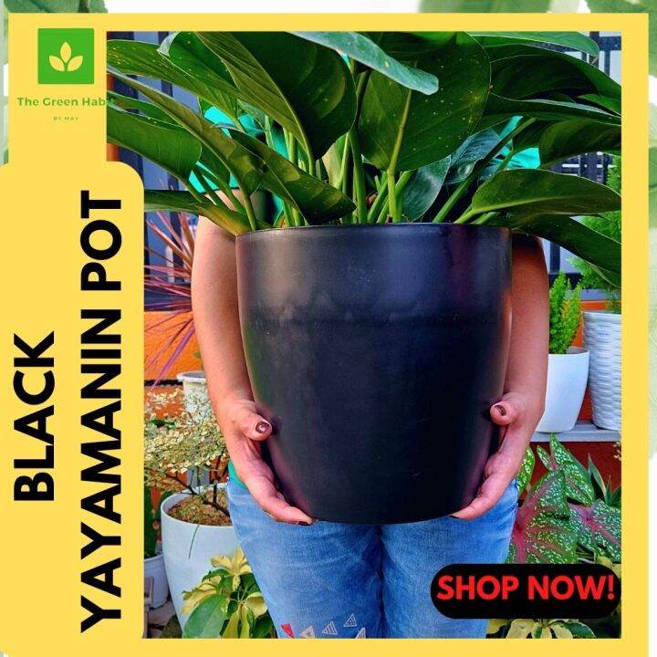 TGH |Elegant Pearlwave Black Yayamanin flower pots for plants indoor ...
