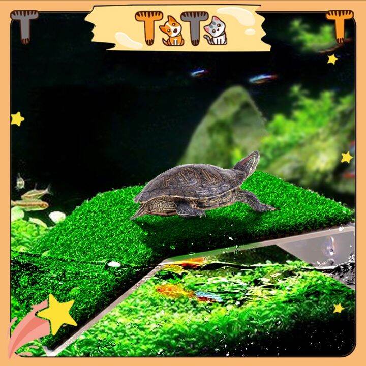 Ti Ti Graceful Turtle Platform Rest Tortoise Climbing Ladder Drying ...