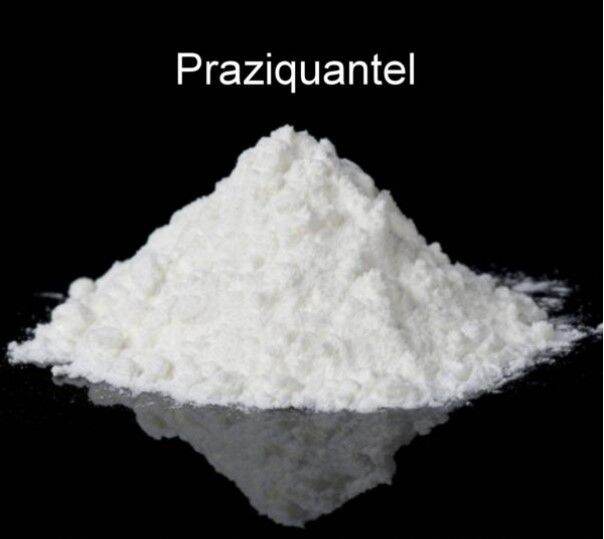 (Prazi) PRAZIQUANTEL Fish Dewormer 50gm | Lazada