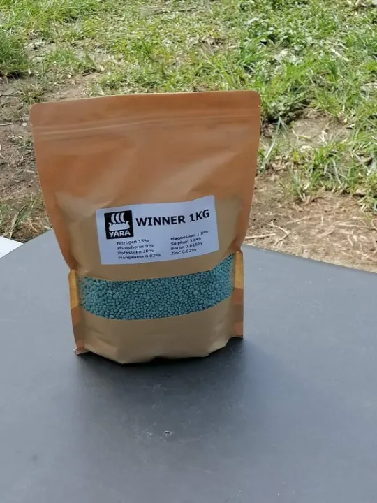 Yaramila Winner | 1kg | Lazada PH