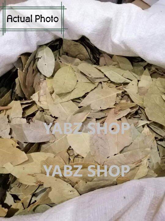 Laurel Leaves / Bay Leaves 500g | Lazada PH