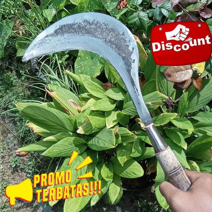 Sabit pengaritan rumput baja isen seper tajam-sabit pemotong rumput ...